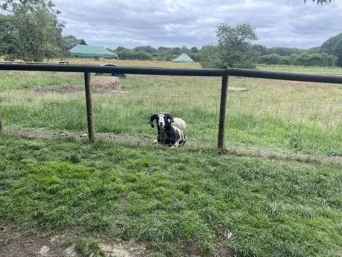 Best 10 Hiking Trails in Sandwell Valley Country Park | AllTrails