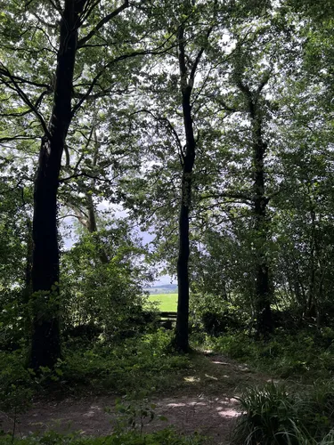 Best Hikes and Trails in Knocknacree Wood | AllTrails