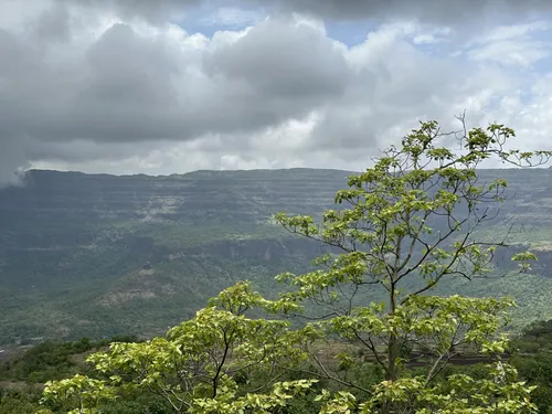 Best 10 Hikes and Trails in Bhimashankar Wildlife Sanctuary | AllTrails