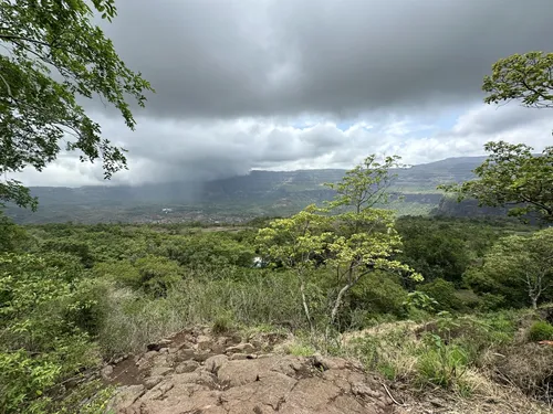 10 Best Hikes and Trails in Bhimashankar Wildlife Sanctuary | AllTrails