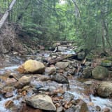 Nancy Pond, New Hampshire - 47 Reviews, Map | AllTrails