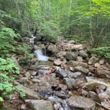 Nancy Pond, New Hampshire - 47 Reviews, Map | AllTrails