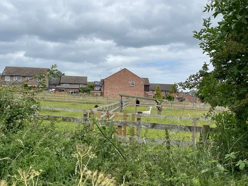 10 Best Trails, Walks, and Paths in Nuneaton | AllTrails