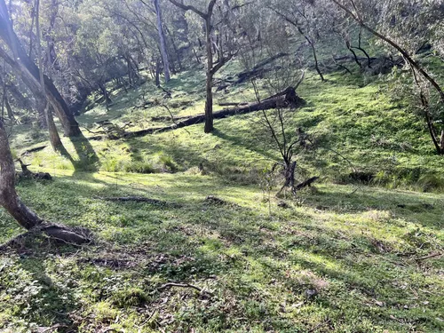 Best Hikes and Trails in Nangar National Park | AllTrails