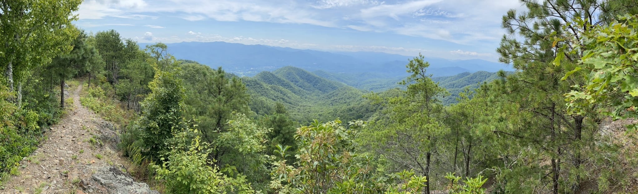 Noland Divide Trail: 117 Reviews, Map - North Carolina | AllTrails