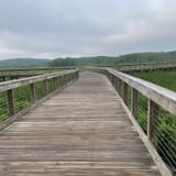 Neabsco Creek Boardwalk, Virginia - 855 Reviews, Map | AllTrails