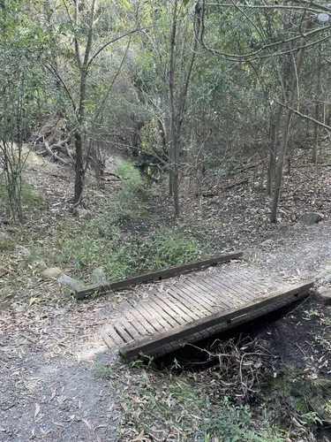 Best Hikes and Trails in Oxley Creek Common | AllTrails