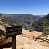 North Kaibab Trail to Supai Tunnel and Coconino Overlook, Arizona - 557 ...