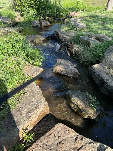 Best Hikes and Trails in Kelly Lane Park | AllTrails