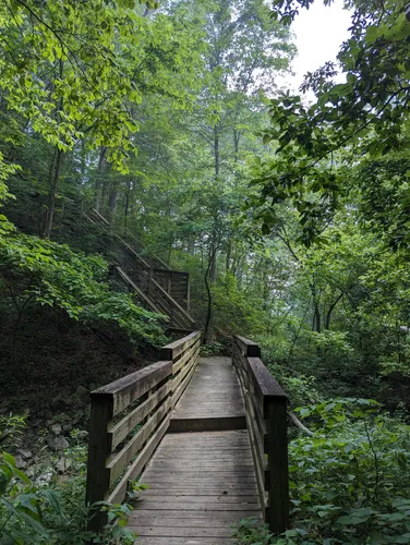 Best Hikes and Trails in Fox Ridge State Park | AllTrails