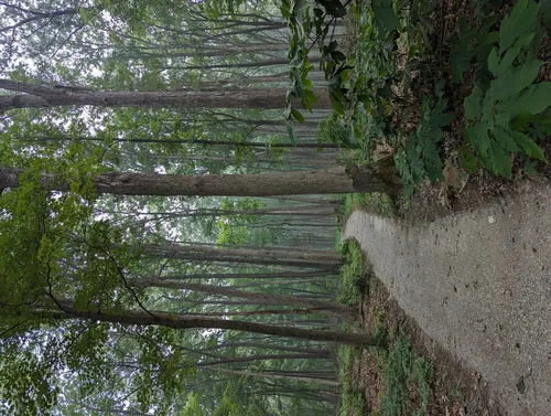 Best Hikes and Trails in Fox Ridge State Park | AllTrails