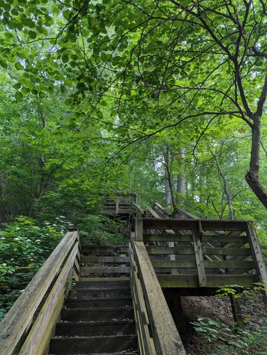 Best Hikes and Trails in Fox Ridge State Park | AllTrails