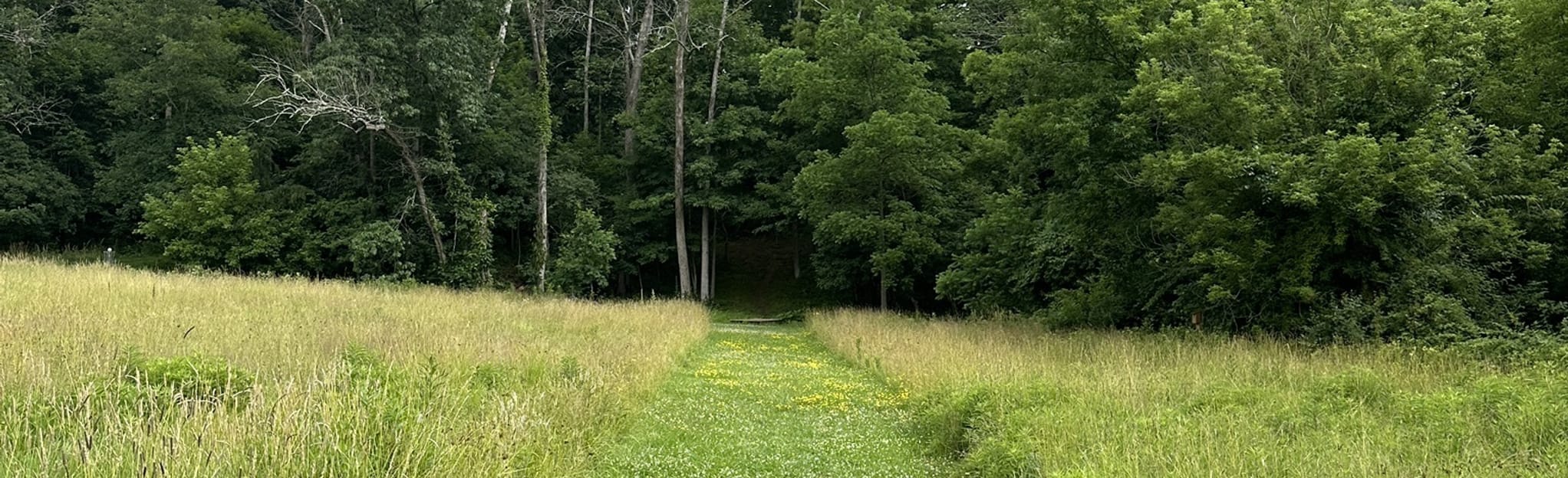 Unami Creek Park Trail, Pennsylvania - 54 Reviews, Map | AllTrails