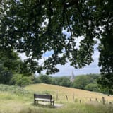 Gomshall Mill and Netley Park Circular, Surrey, England - 219 Reviews ...