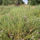 Lake Bryan Trail, Texas - 247 Reviews, Map | AllTrails