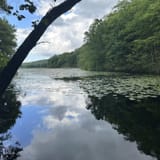Ramapo Reservation Loop Trail, New Jersey - 1,593 Reviews, Map | AllTrails