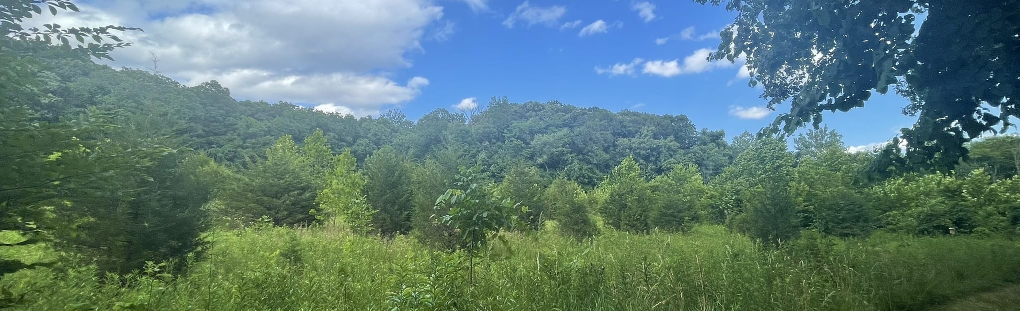 Spring Creek Preserve, Illinois - 484 Reviews, Map | AllTrails