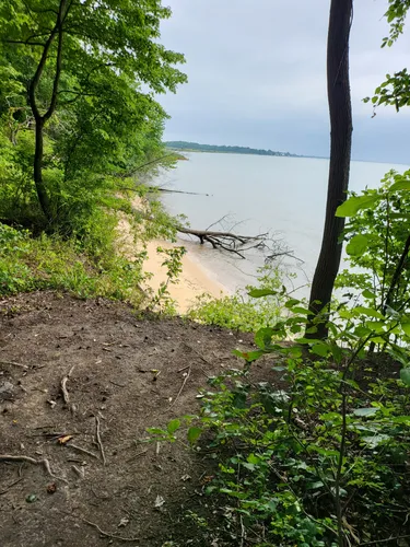 2023 Best Easy Trails in Sparrows Point | AllTrails