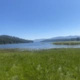 Sagehen Creek Loop, California - 852 Reviews, Map | AllTrails