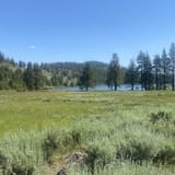Sagehen Creek Loop, California - 852 Reviews, Map | AllTrails