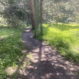 Sagehen Creek Loop, California - 852 Reviews, Map | AllTrails