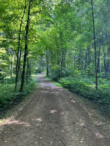 Best Hikes and Trails in Baylor Regional Park | AllTrails