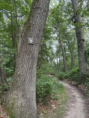 Best Hikes and Trails in Trail View State Park | AllTrails