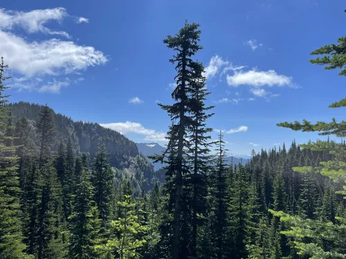 10 Best Trails and Hikes in Longmire | AllTrails