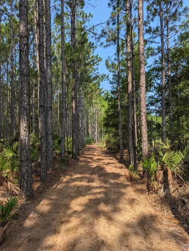 Best Hikes and Trails in Betz-Tiger Point Preserve | AllTrails