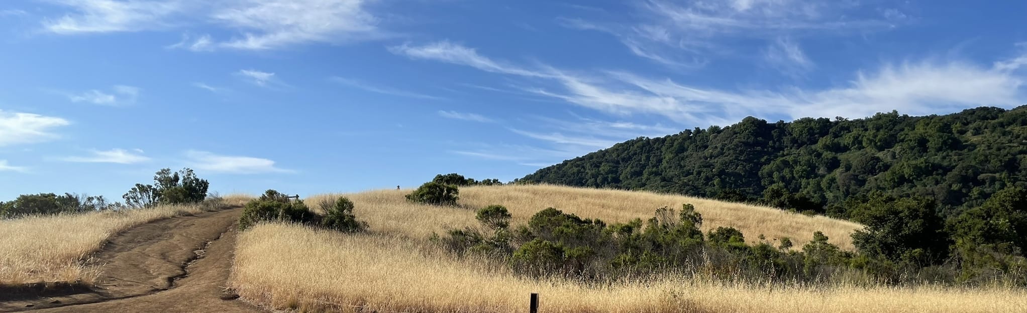 Rogue Valley, Upper Rogue Valley, and High Meadow Loop Trail ...