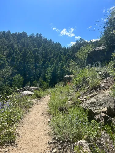 Best Hikes and Trails in Reynolds Ranch County Park | AllTrails