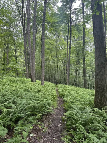Best Hikes and Trails in Quebec Run Wild Area | AllTrails