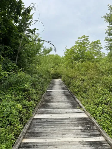 Best Hikes and Trails in Walrond Park | AllTrails