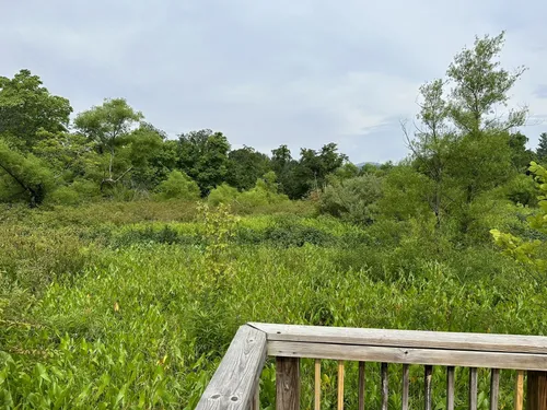 Best Hikes and Trails in Walrond Park | AllTrails