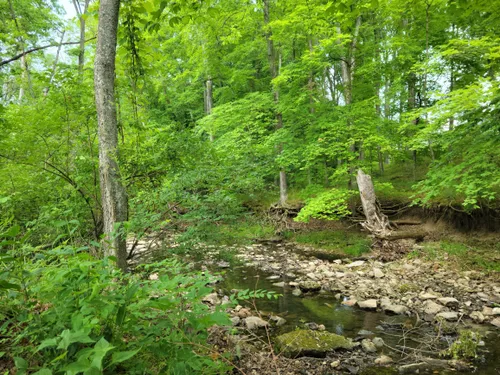 Best Hikes and Trails in Deer Ridge Park | AllTrails