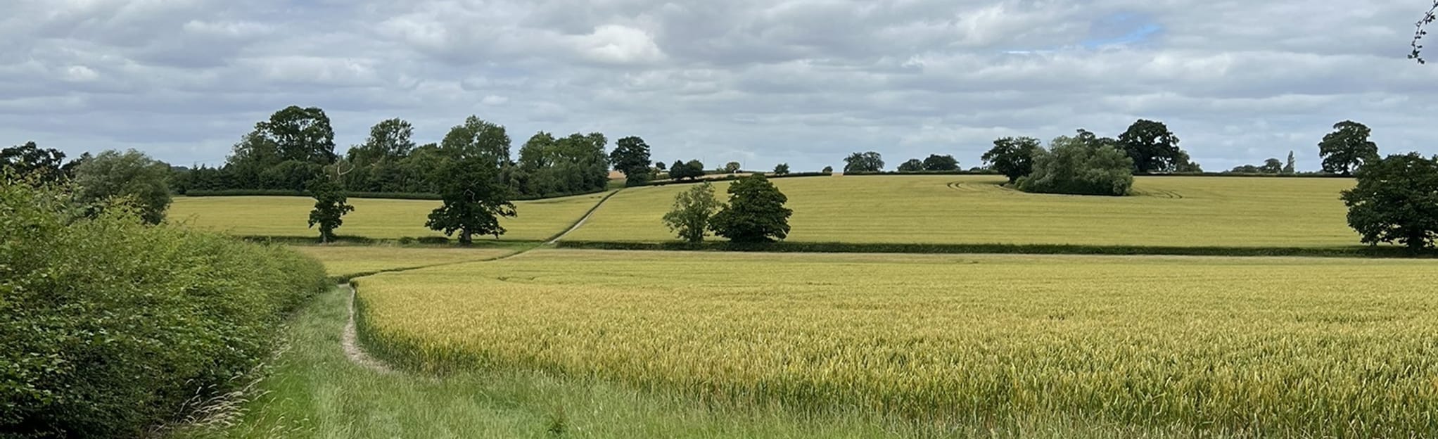 Millennium Way: Heronfield and Temple Balsall: 70 Reviews, Map - West ...