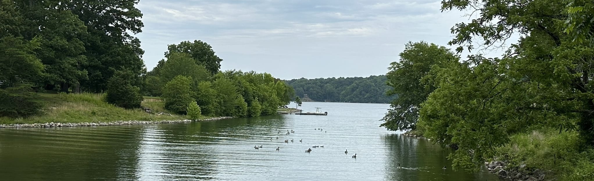 Lakeview Trail: 67 Reviews, Map - Virginia | AllTrails