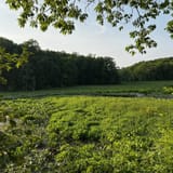 Great Marsh Trail, Virginia - 78 Reviews, Map | AllTrails