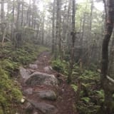 Cannon, North and South Kinsman via Kinsman Ridge Trail, New Hampshire ...