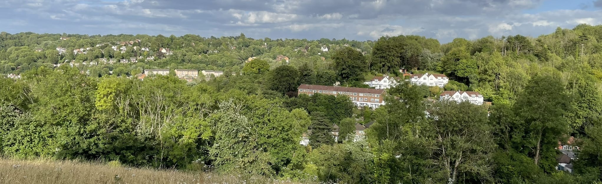 Whyteleafe and Kenley Aerodrome Circular, Surrey, England - 28 Reviews ...