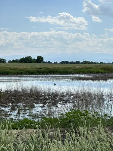 Best Hikes and Trails in Barr Lake State Park | AllTrails