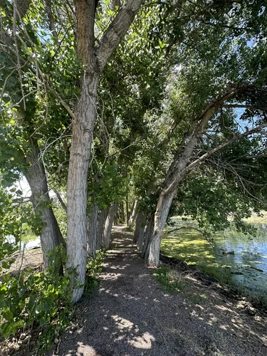 Best Hikes and Trails in Barr Lake State Park | AllTrails