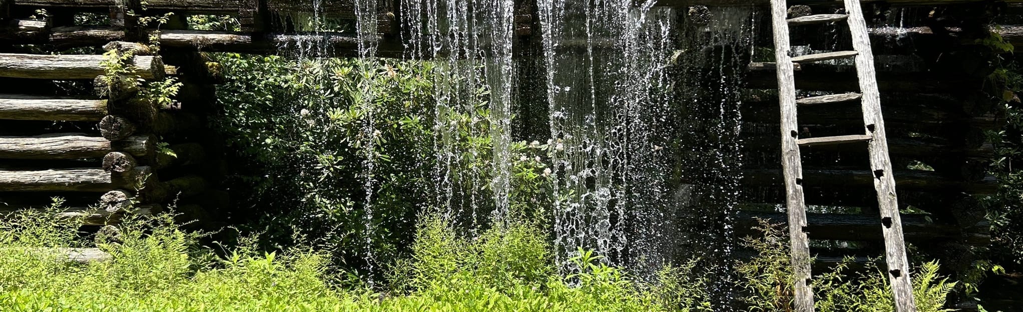 Thomas Divide, Newton Bald and Mingus Creek Trail, North Carolina - 77 ...