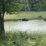 Ouabache State Park Bike Path, Indiana - 53 Reviews, Map | AllTrails