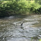 Little Lehigh Parkway Trail, Pennsylvania - 1,701 Reviews, Map | AllTrails