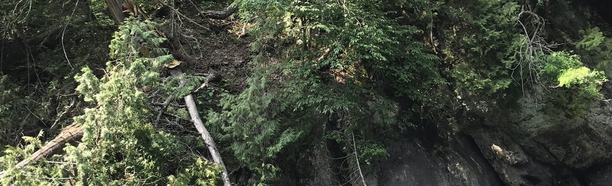 Back Creek Gorge Trail, Virginia - 11 Reviews, Map | AllTrails