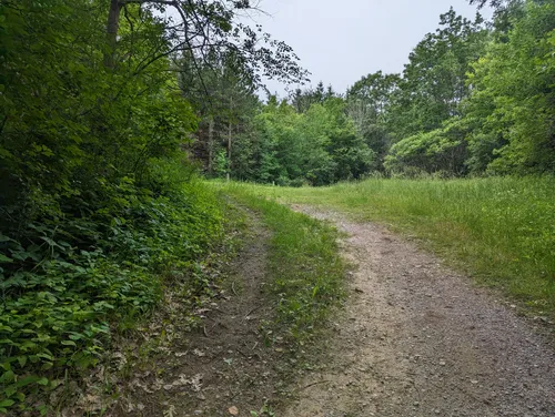 10 Best Hikes and Trails in Durham Regional Forest | AllTrails