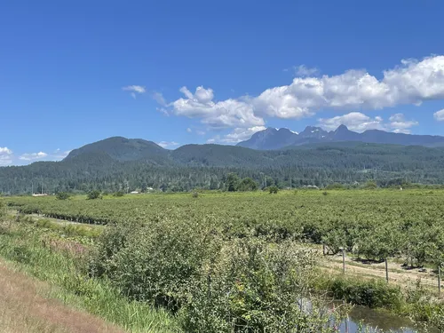 10 Best Trails and Hikes in Pitt Meadows | AllTrails