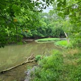 Sac River Trail, Missouri - 487 Reviews, Map | AllTrails