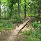 Sac River Trail, Missouri - 487 Reviews, Map | AllTrails
